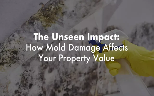 Mold Insurance Claims: Protecting Your Home and Health in the Aftermath ...
