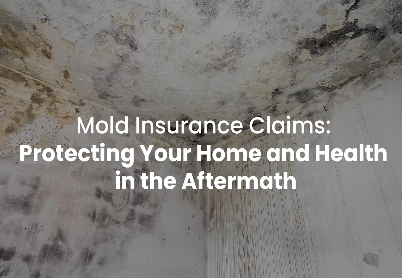 Mold Insurance Claims: Protecting Your Home and Health in the Aftermath - Krapf Legal Florida ...